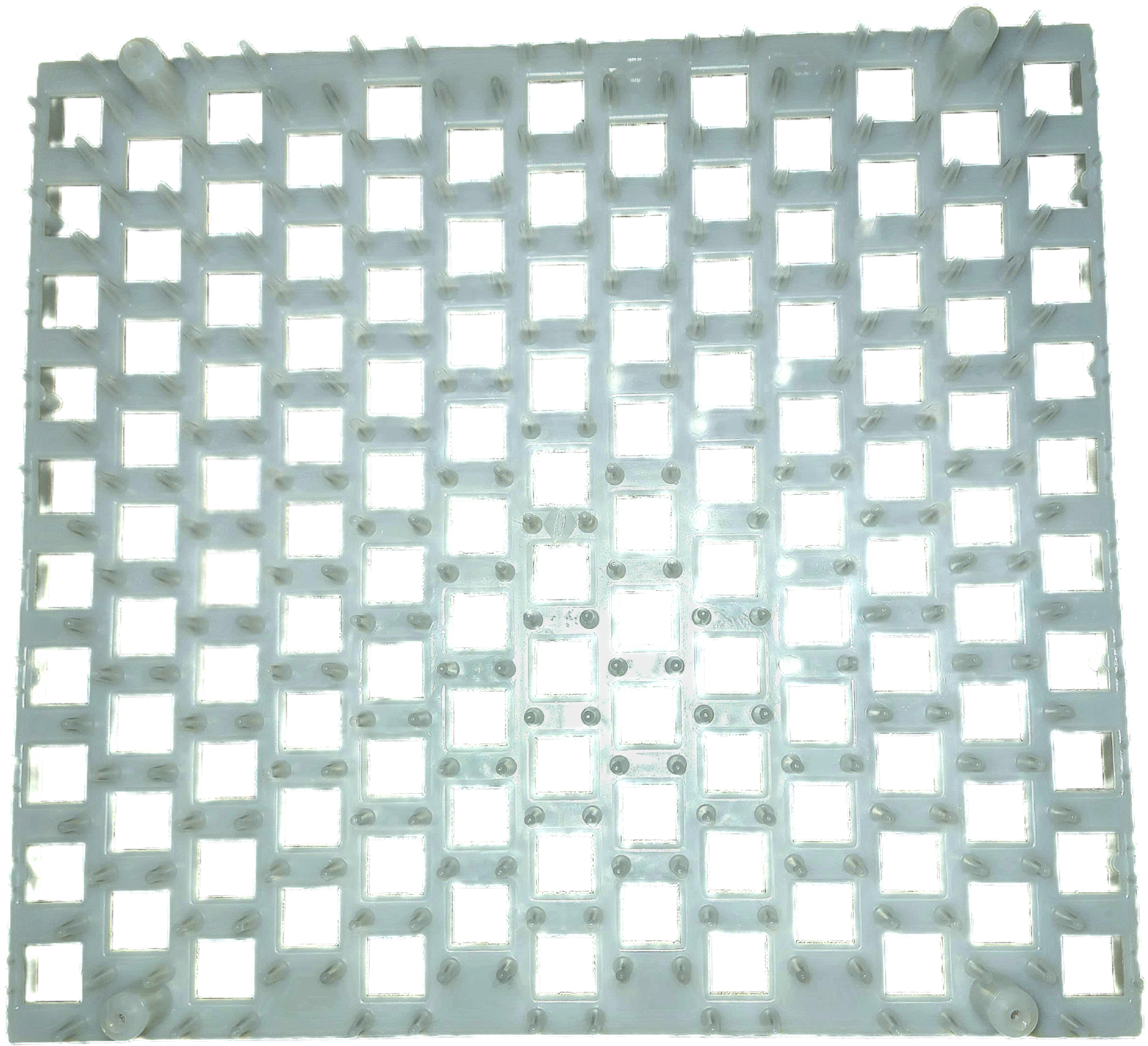 Quail Tray-124 | Indiv Farm Supply